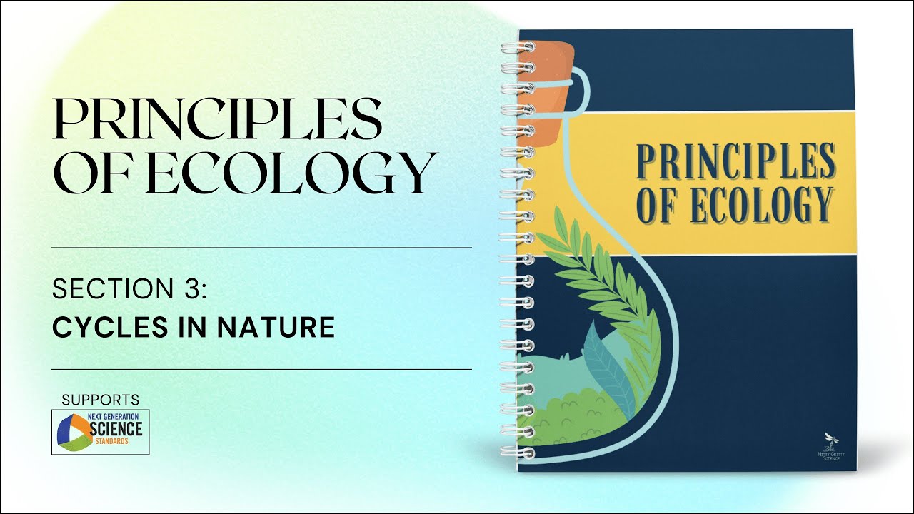 Principles of Ecology: Sec. 3: Cycles in Nature - YouTube