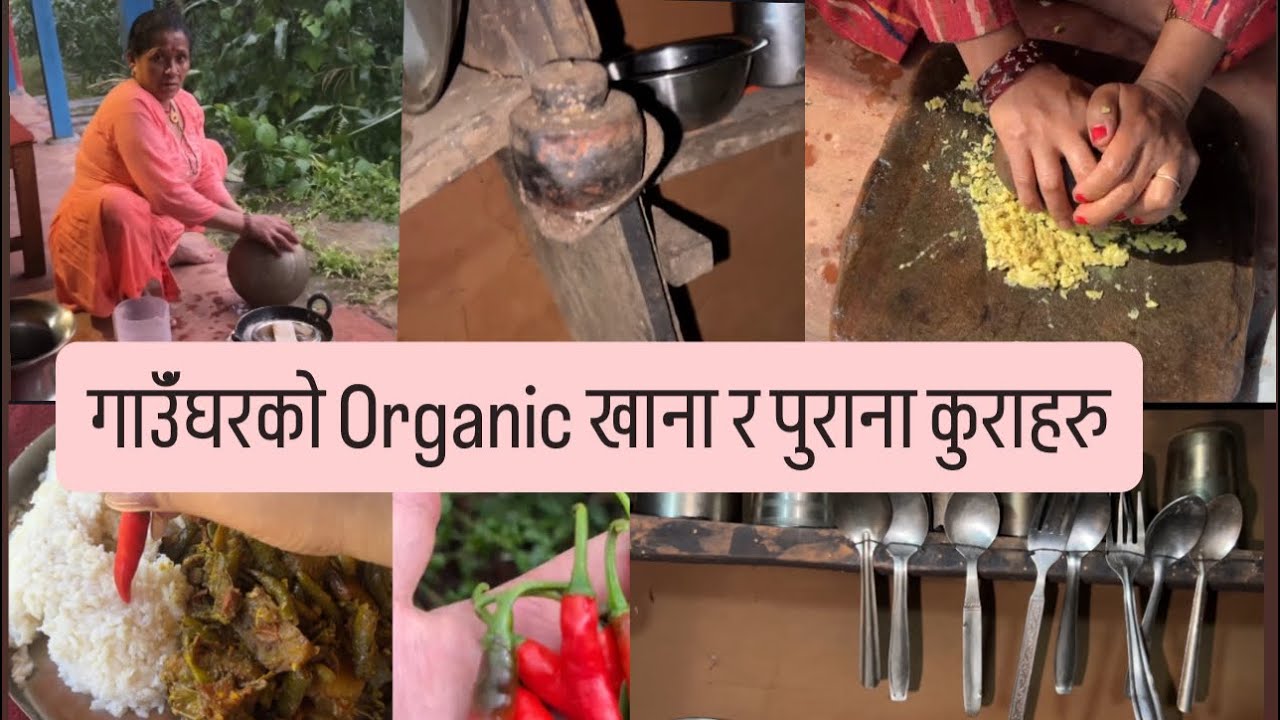 पुराना चिजहरुले बालपनको याद आयो /गाउॅंघरको Organic खाना र रमाईलो पल ...