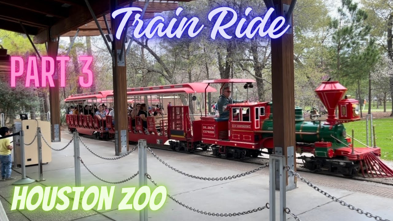 Houston Zoo Train Ride Part # 3 @Amna_Parvaiz #travel #2024 #houstonzoo ...
