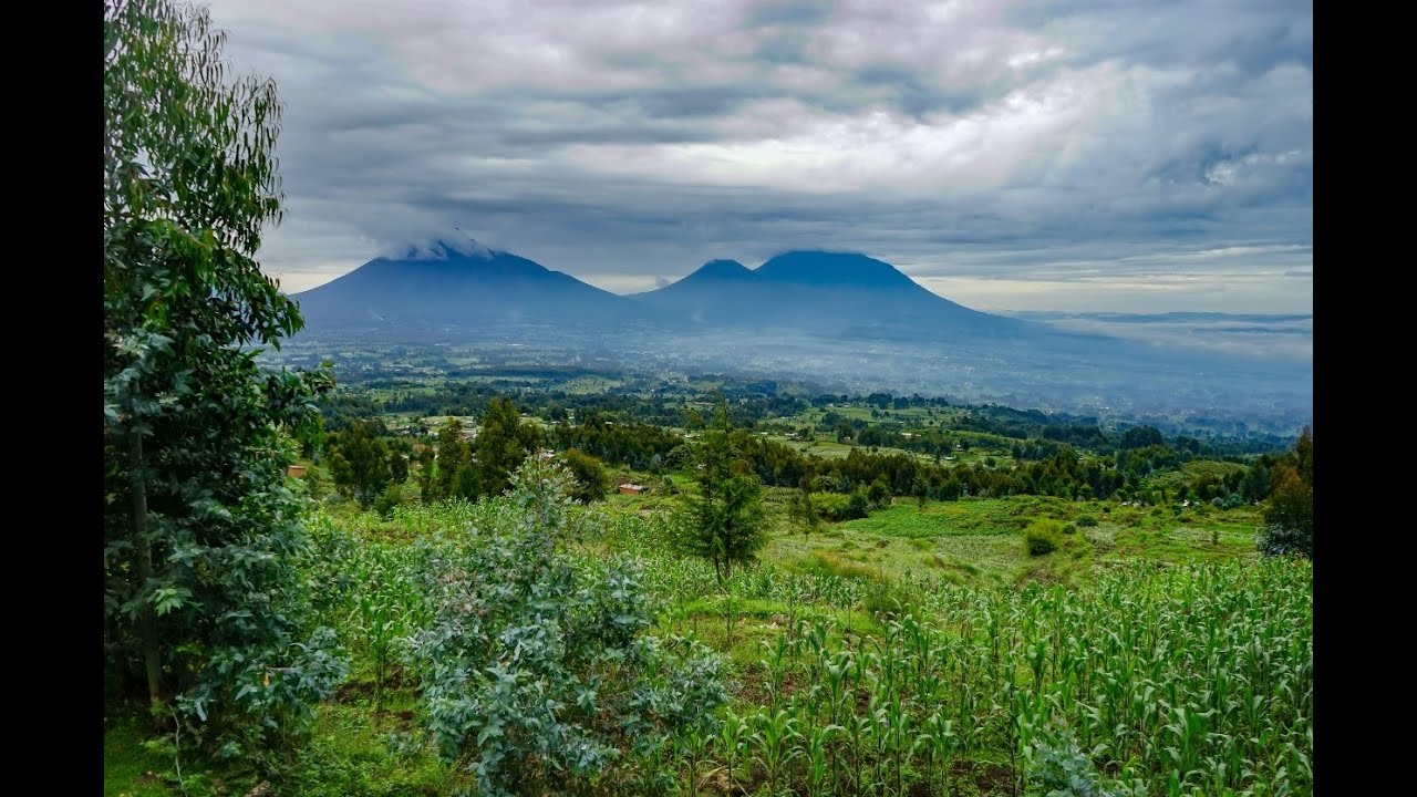 🌴🌴Volcanoes National Park - Rwanda, Africa - YouTube