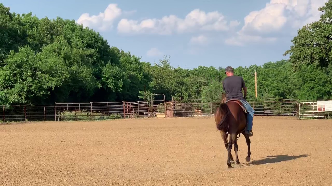 Trotting - YouTube