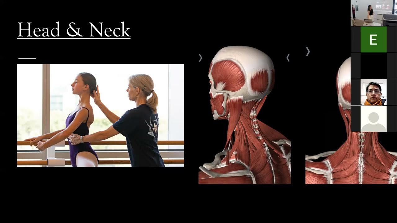 Anatomy of Dance - YouTube