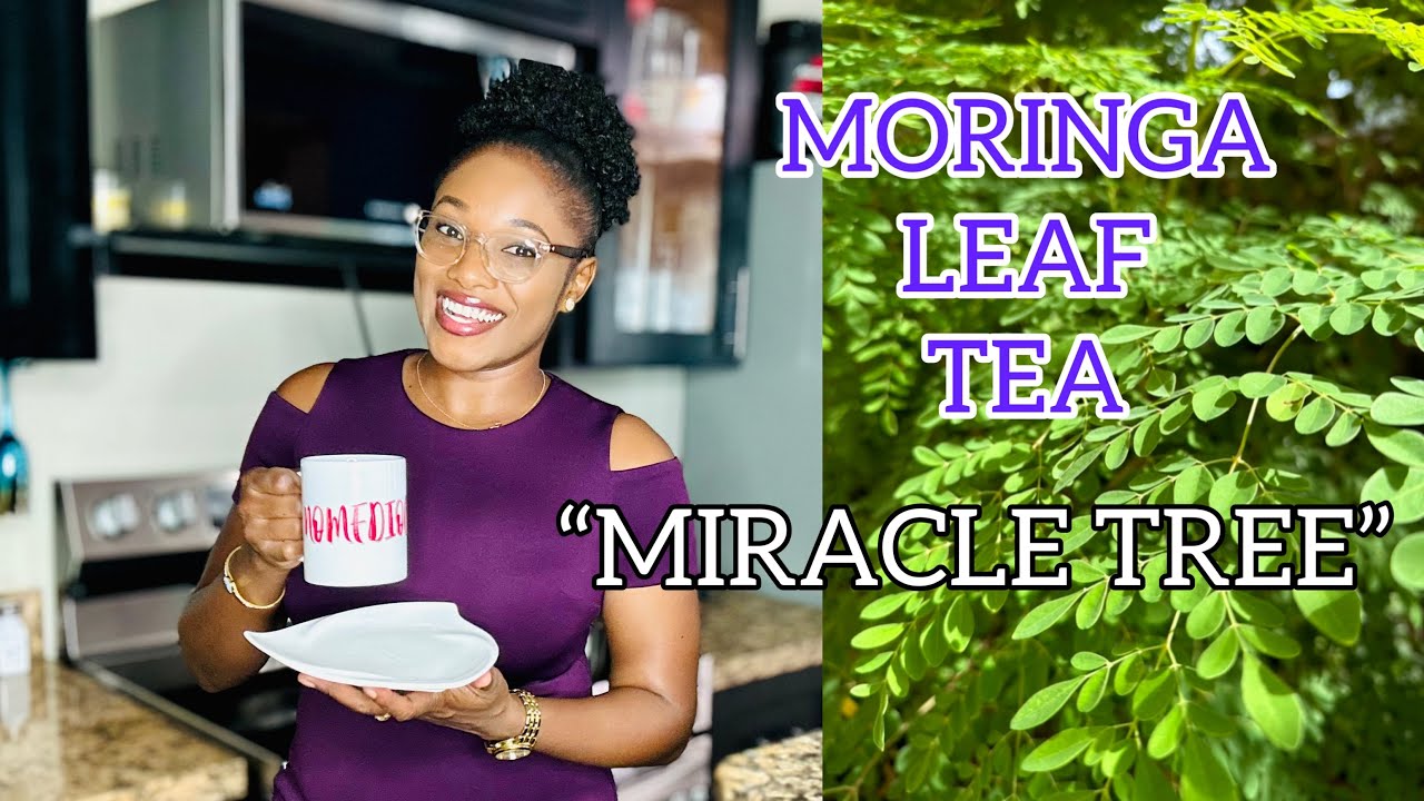 MORINGA LEAF TEA Health Benefits | Moringa Oleifera | Treats DIABETES ...