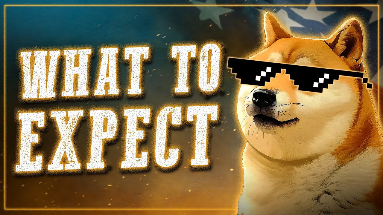 DOGE Watch - YouTube