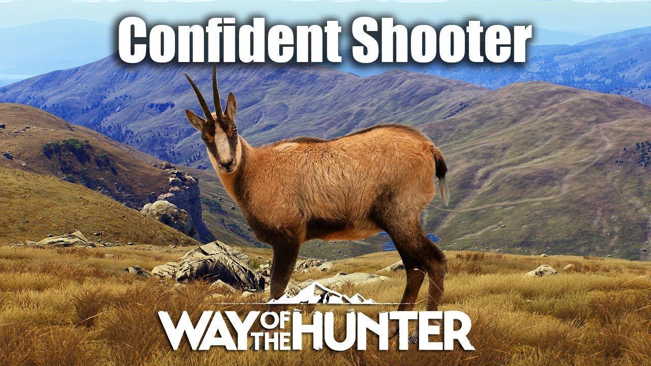Way Of The Hunter - Confident Shooter - YouTube