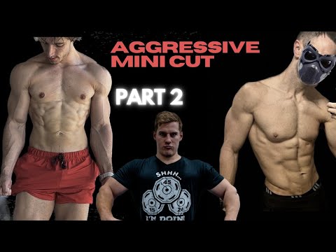 Aggressive Mini Cut Part 2