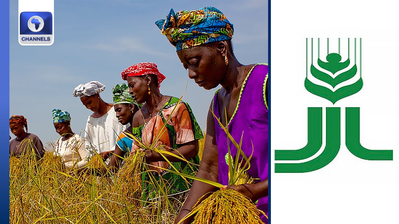 IFAD Deploys Climate Sensitivity Practices To Rural Areas Of Benue ...