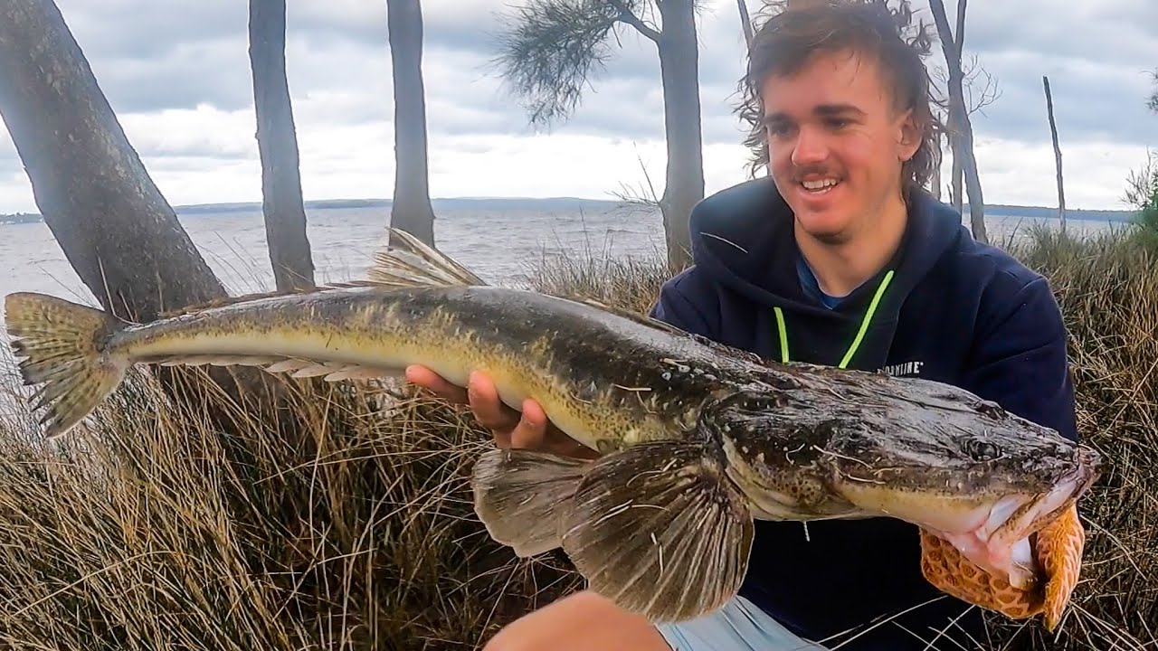 Monster Dusky Flathead Fishing Soft Plastics - YouTube