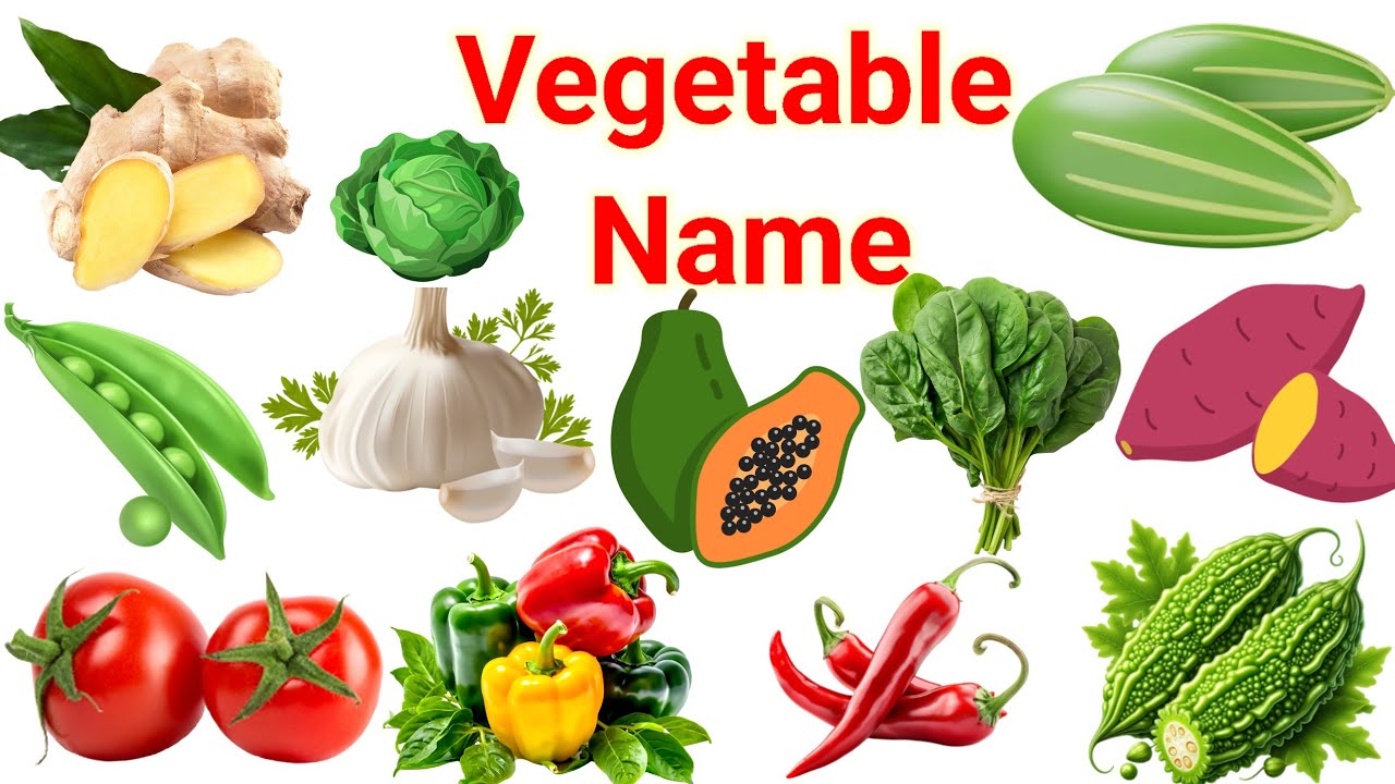 25 Vegetables Name Hindi and English l Vegetable Names l 25 Sabjiyan ke ...