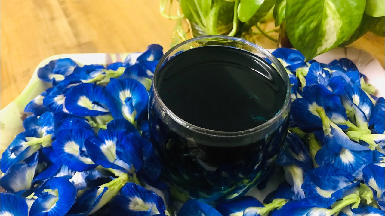 Blue tea | butterfly pea flower tea | sangu poo tea | herbal tea - YouTube
