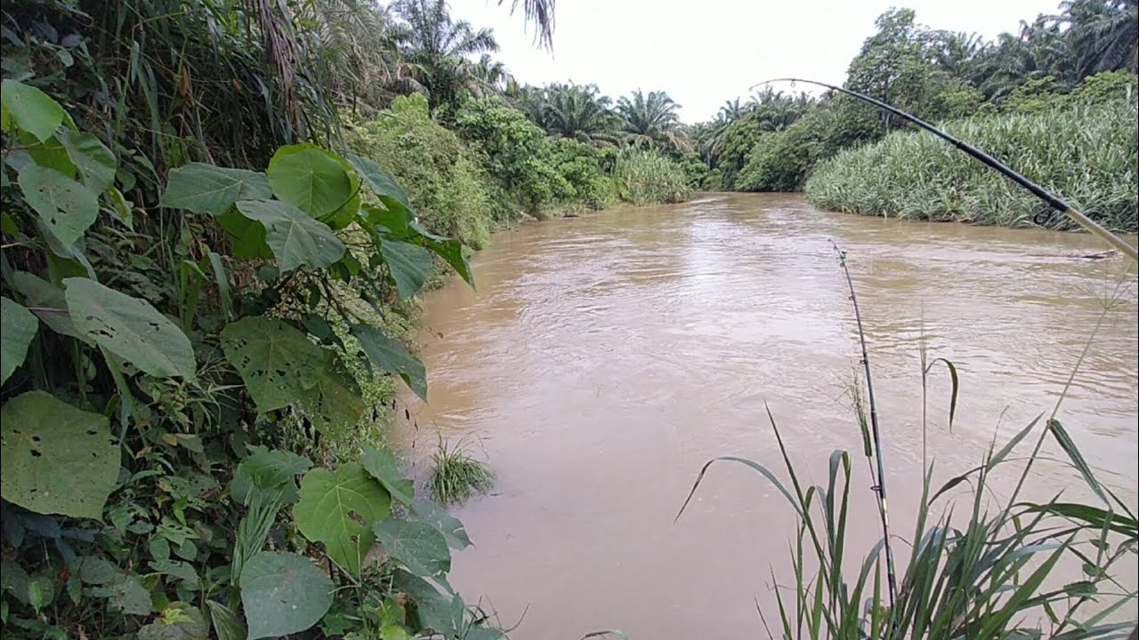 AL JEBON!!!MANCING DI SPOT BELAKANG RUMAH.ADA JEBON.....😱!!! - YouTube