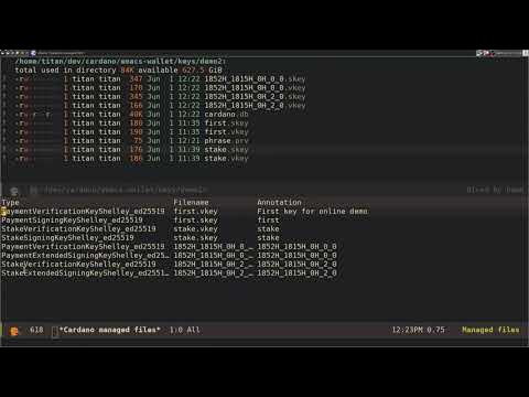 Cardano Key files and Address management - YouTube