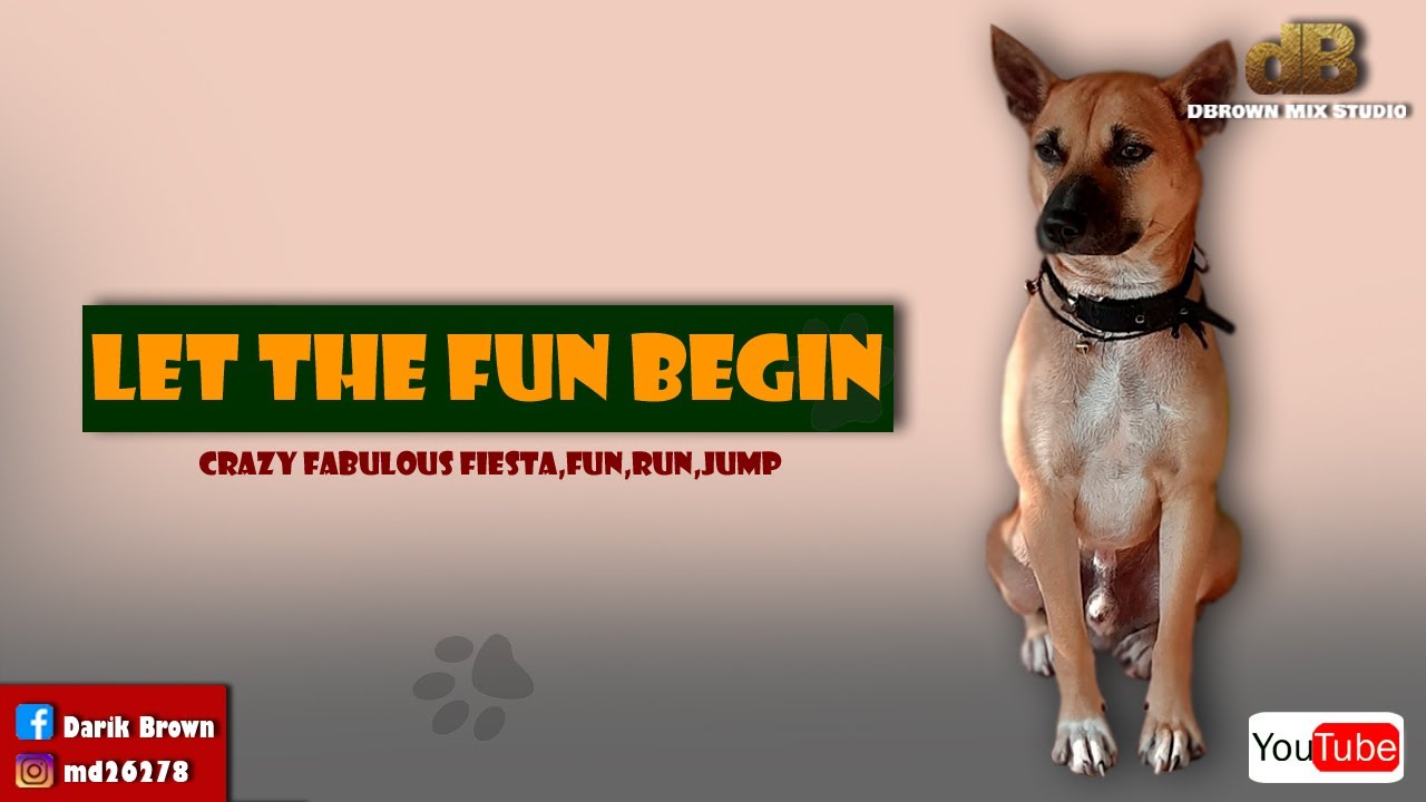 Let The Fun begin l Crazy Fun Chronicles l Funky Adventures - YouTube