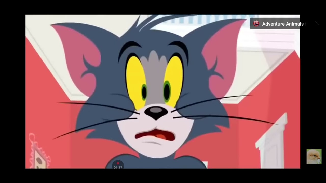 TOM & GERRY / Cartoon full episode - YouTube