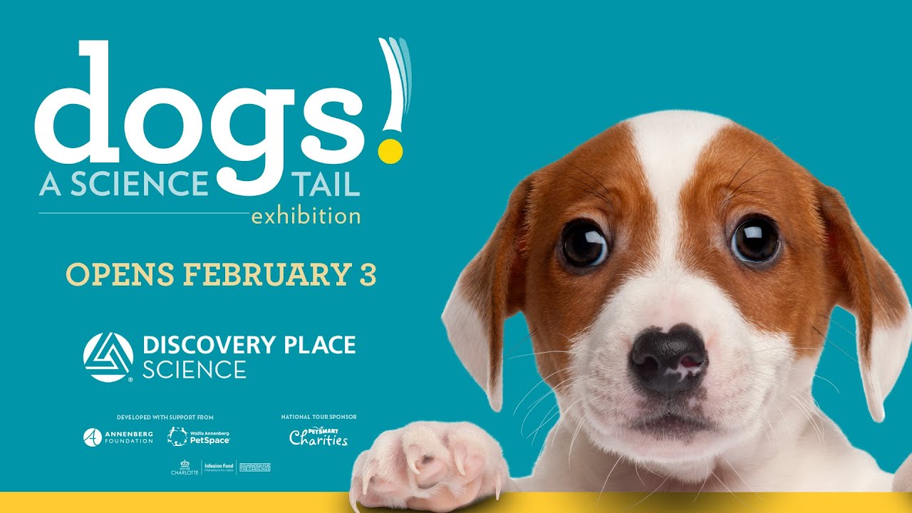Dogs are coming soon to Discovery Place Science! - YouTube