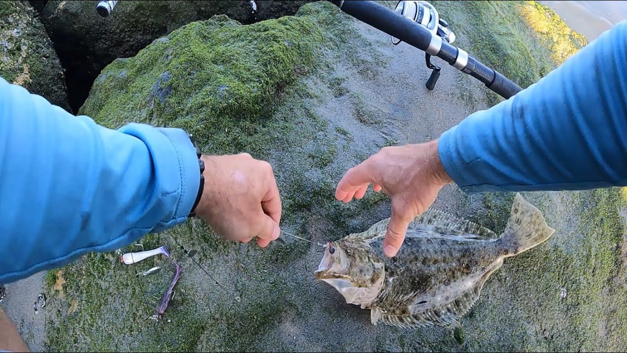 Fall FISHING for HALIBUT in Orange County SLOW, but still BITING - YouTube