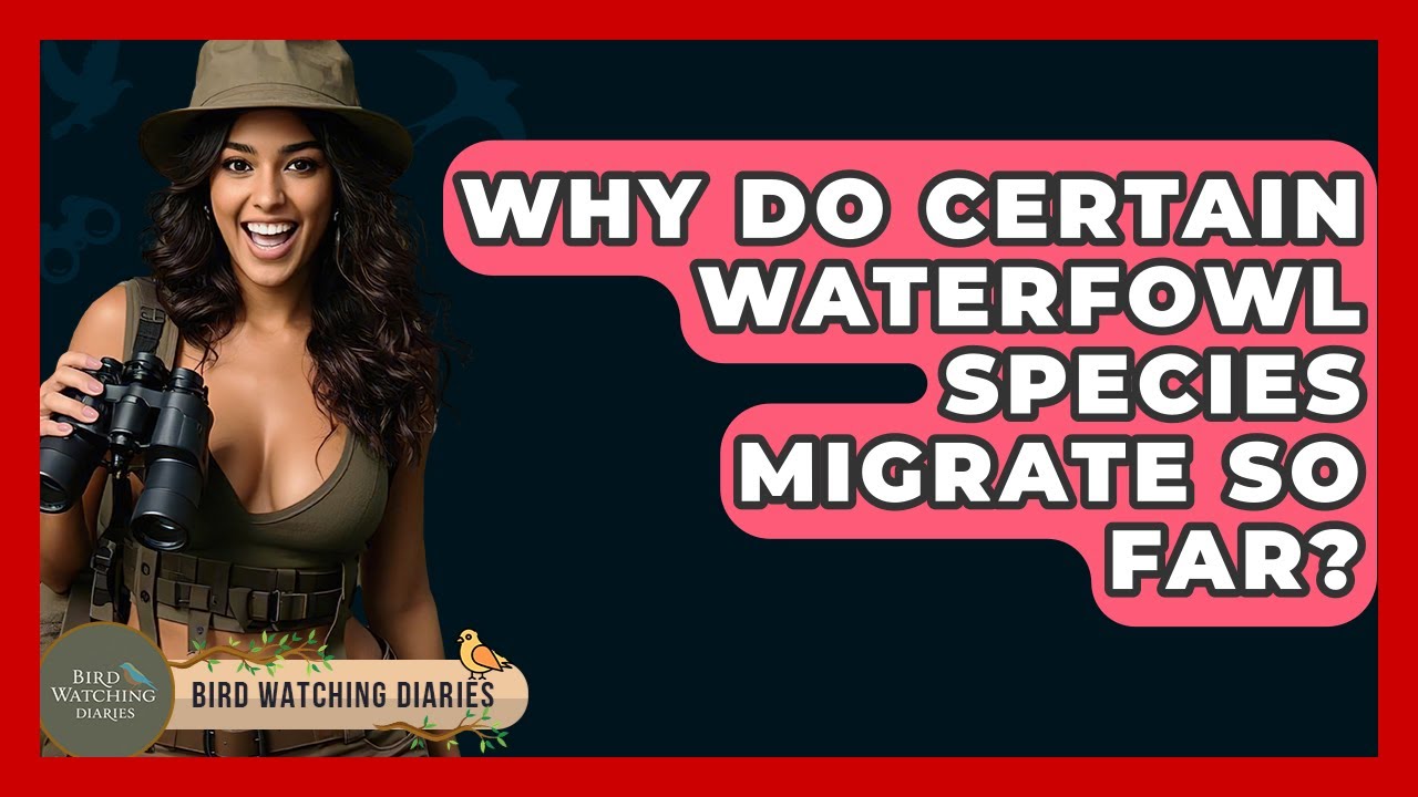 Why Do Certain Waterfowl Species Migrate So Far? - Bird Watching ...