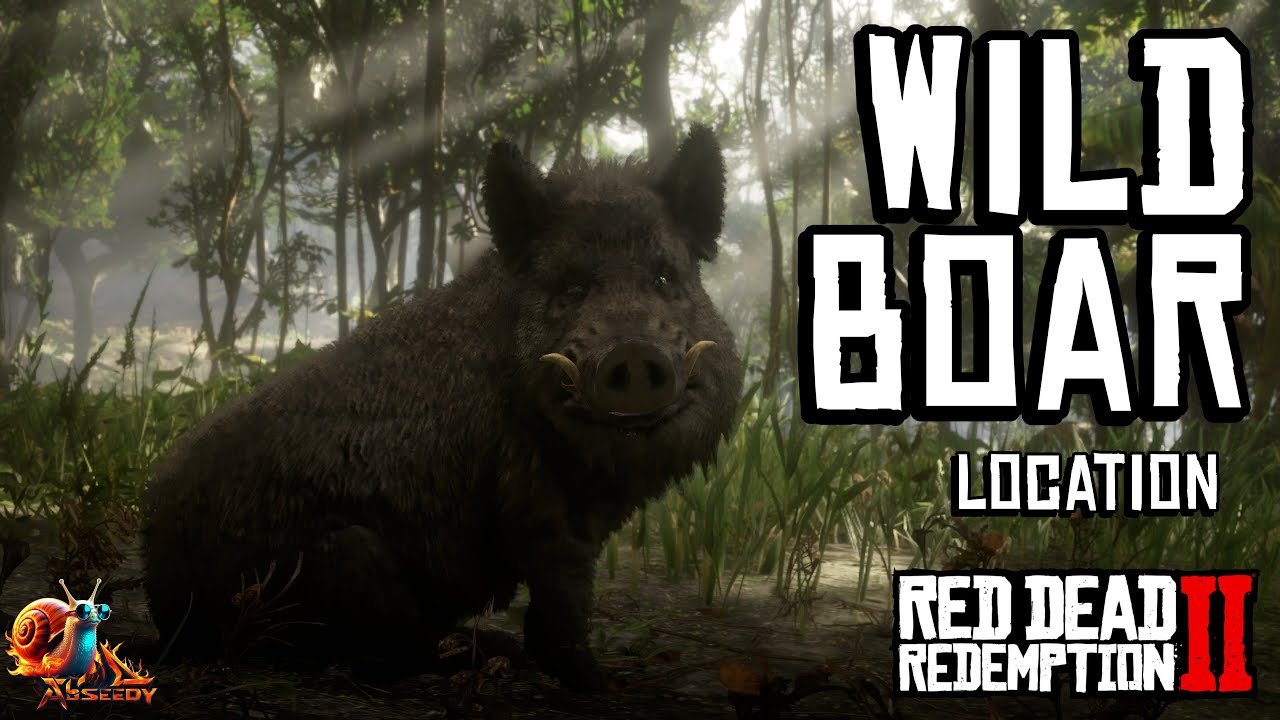 Wild Boar Location - Red Dead Redemption 2 - YouTube