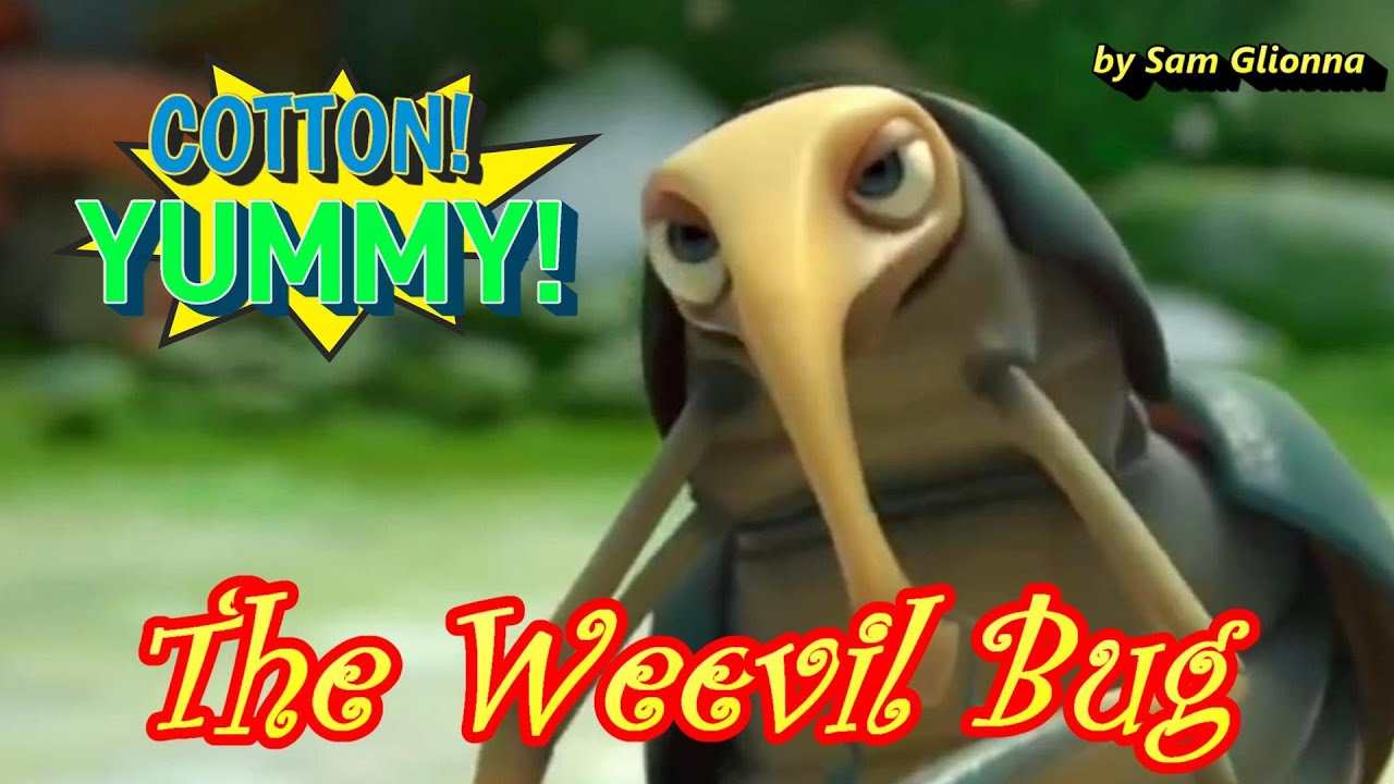 The Weevil Bug (SONG) Spanish Lookout Kids /Praise Writers - YouTube