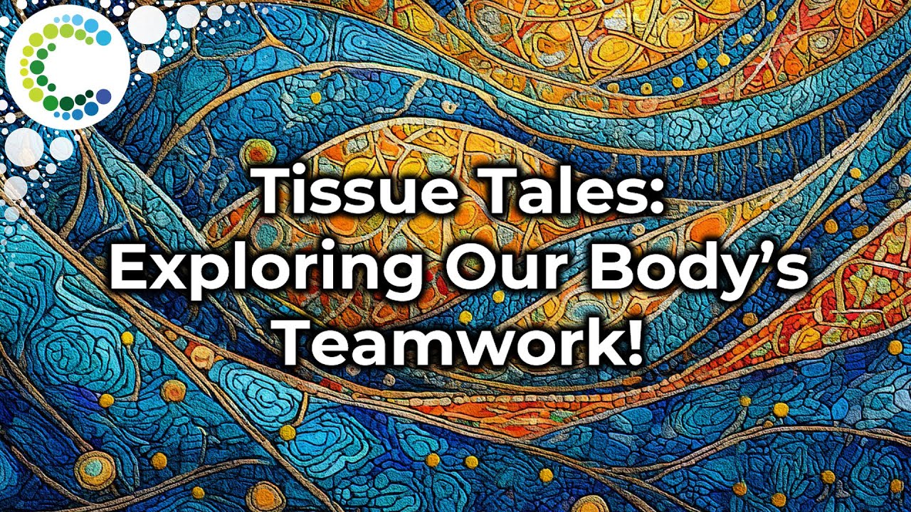 Tissue Tales: Exploring Our Body's Teamwork! - YouTube