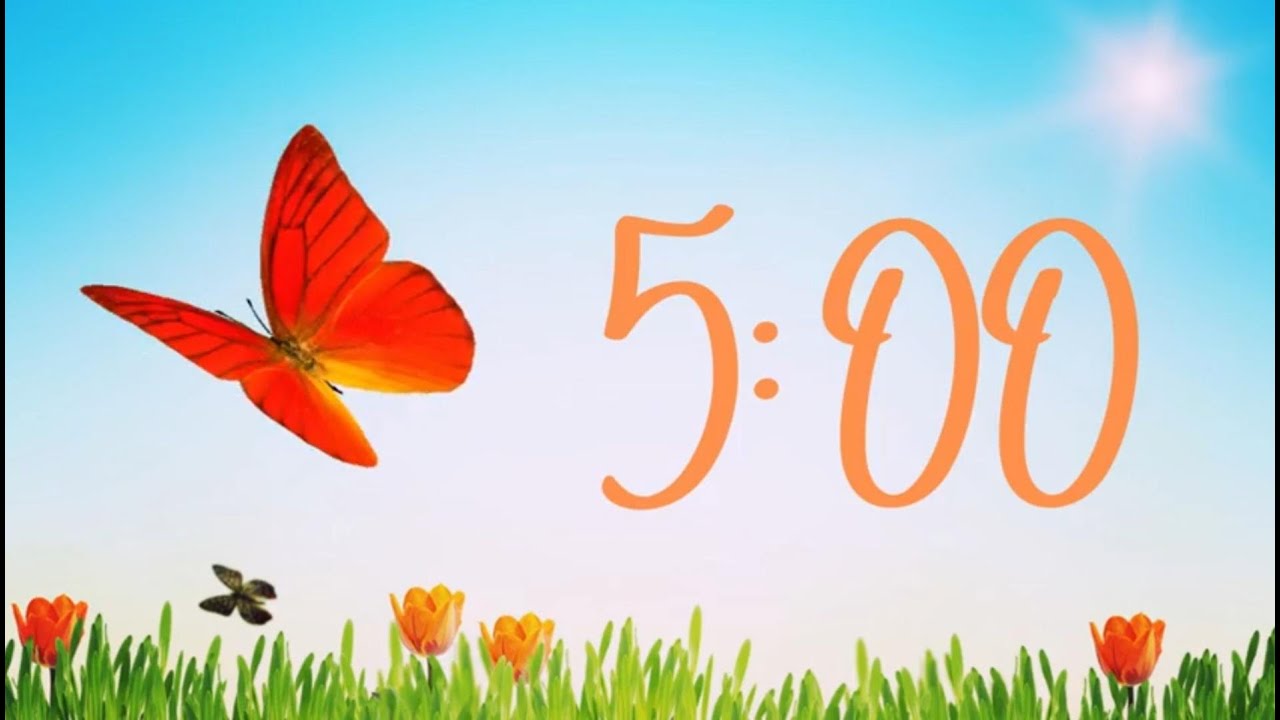 5 Minute Spring Timer - YouTube