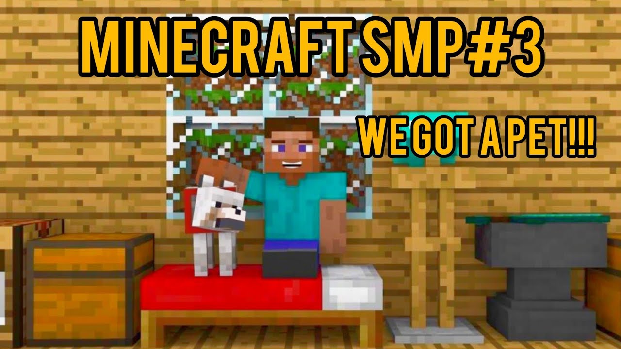 getting a pet in my minecraft smp - YouTube