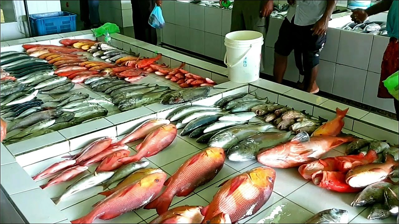 THE BIGGEST FISH MARKET IN MALDIVES - MALE MARKET - YouTube