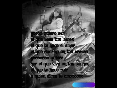 Perro callejero--yo quiero ser 💗💕letra - YouTube