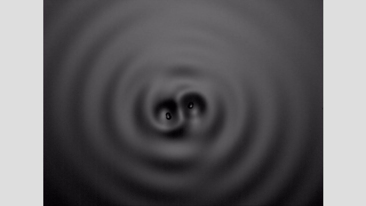 ORBITAL MOTION OF TWO IN PHASE WALKERS - YouTube