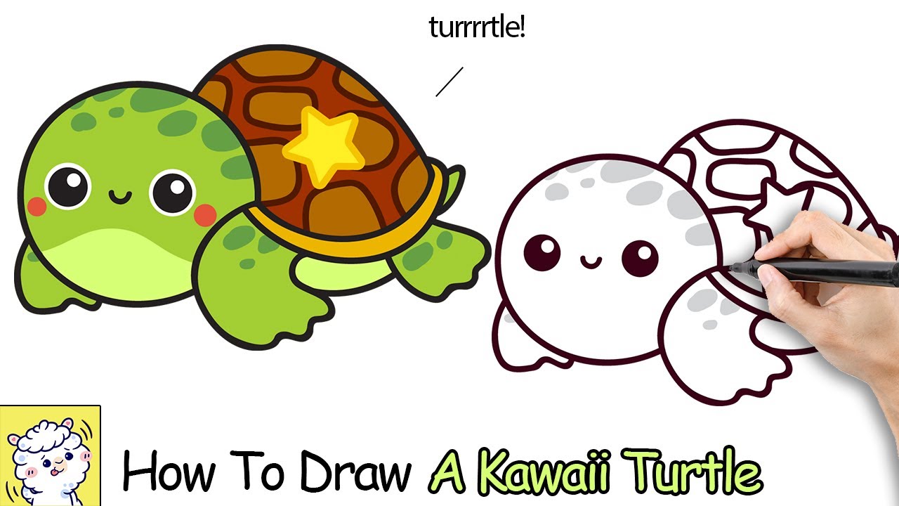 How To Draw A Turtle | Kawaii Art Style | Mofukawa - YouTube