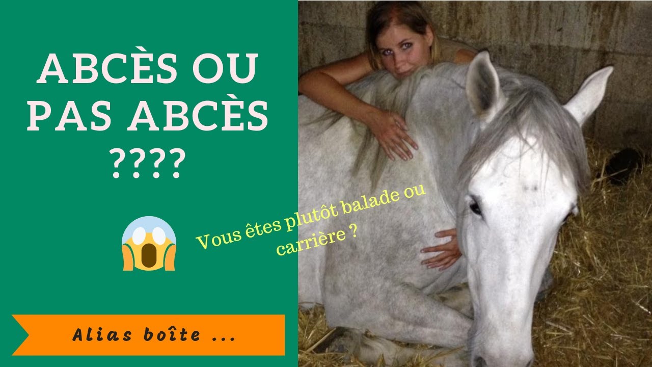 [CHEVAL] Grosse boiterie - YouTube