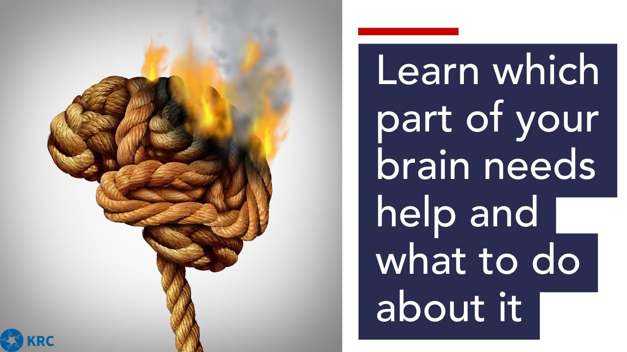 Learn which part of your brain needs help and what to do about it - YouTube