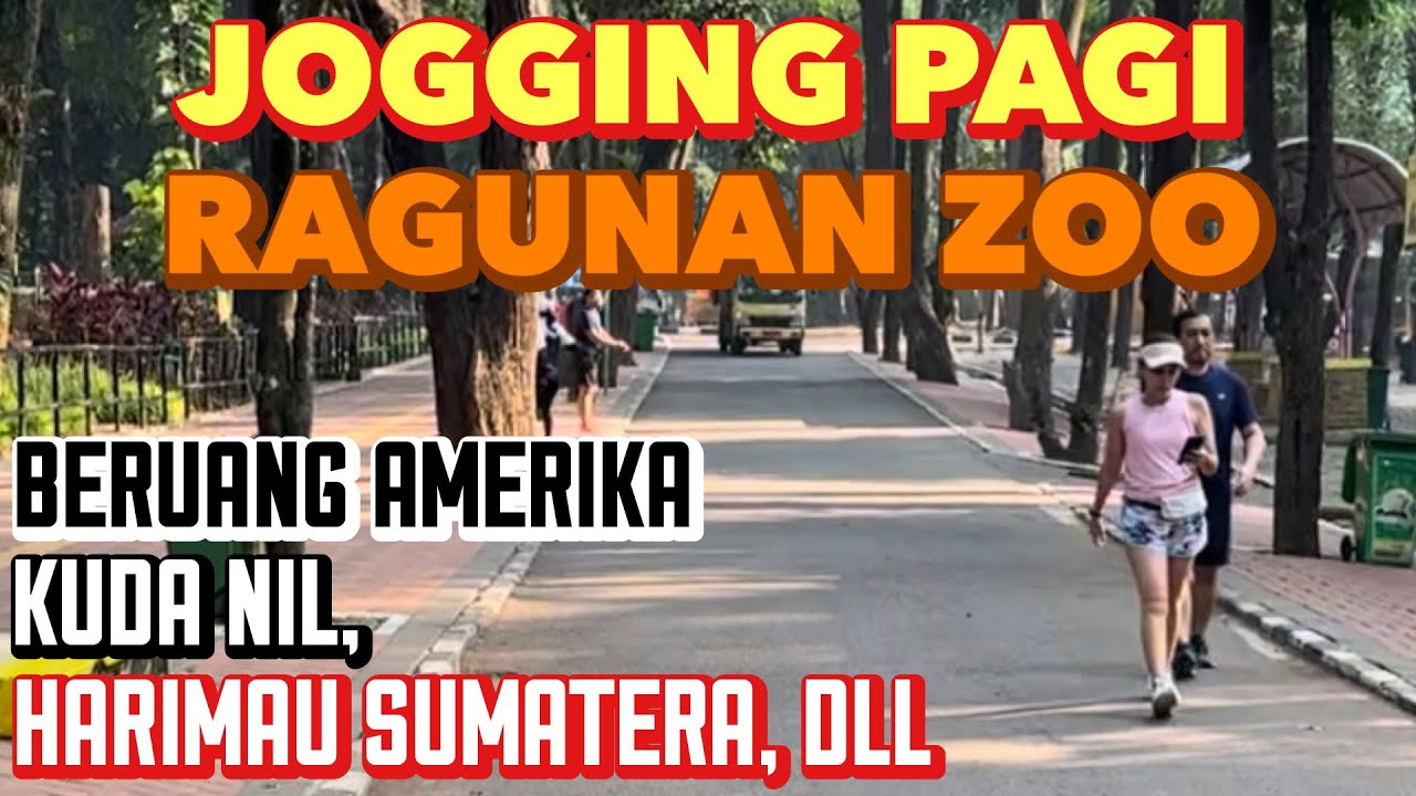 Jogging Pagi Di Taman Margasatwa Ragunan Jakarta Selatan Lihat Kuda Nil ...
