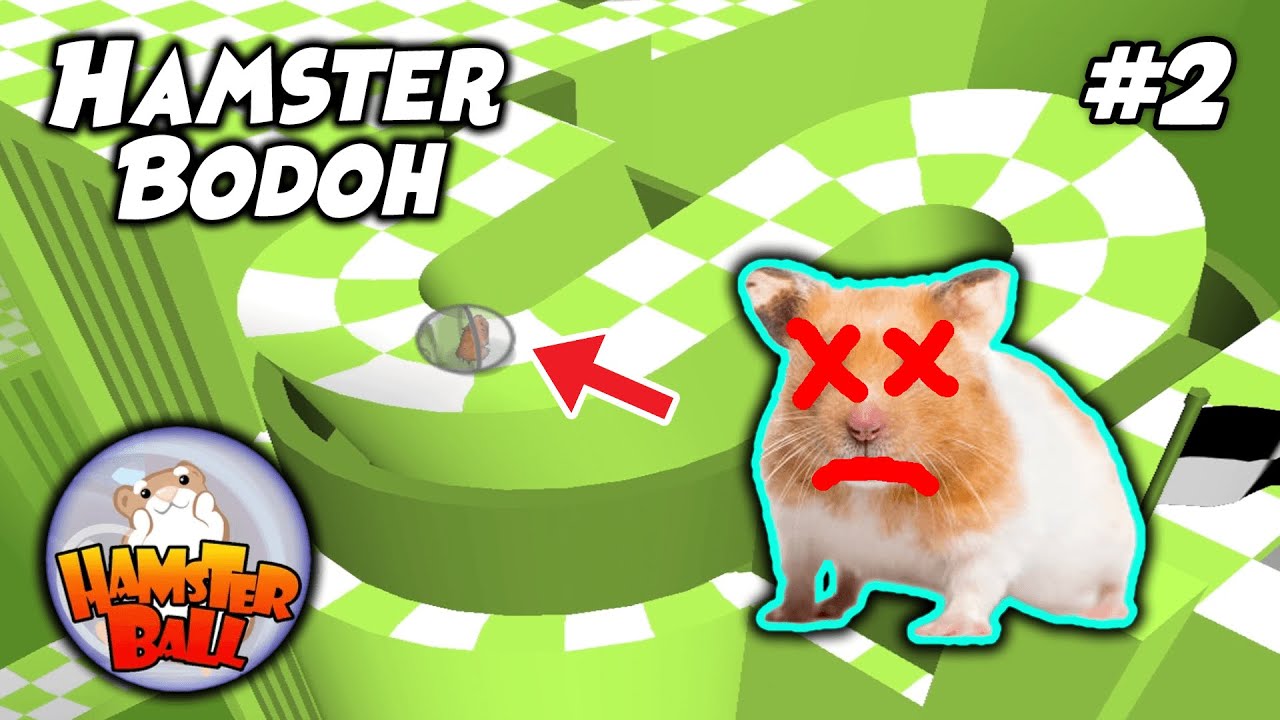 HAMSTER YANG SANGAT MENYEBALKAN DI LEVEL TERKUTUK INI ! | Hamsterball ...