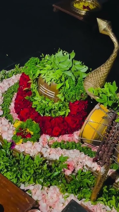 ganga dharay shiv har har bole naha shiway - YouTube