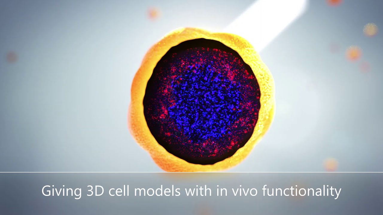 ClinoStar system - YouTube