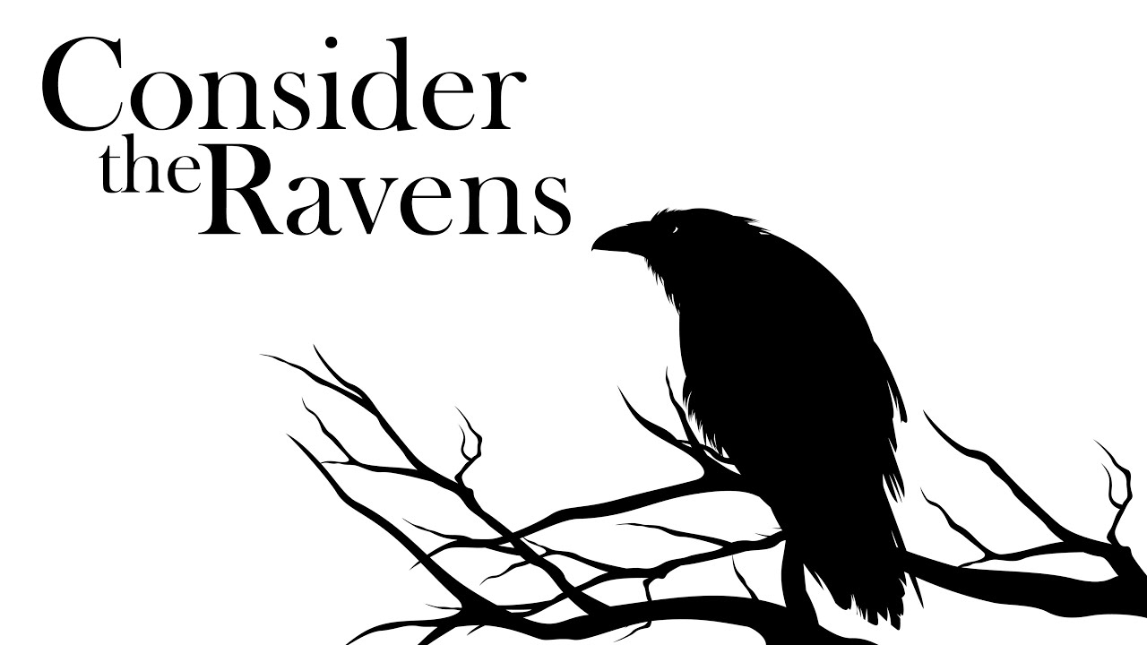 Consider the Ravens - YouTube