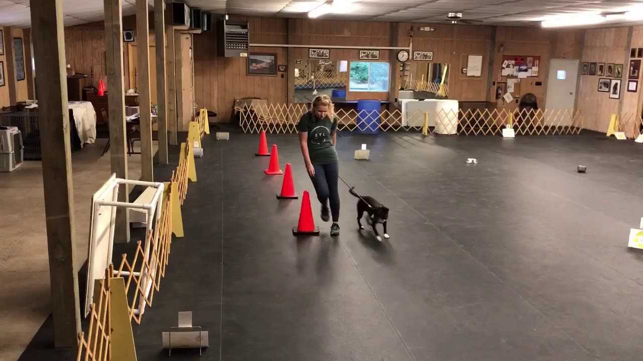 Novice rally course 4 - YouTube