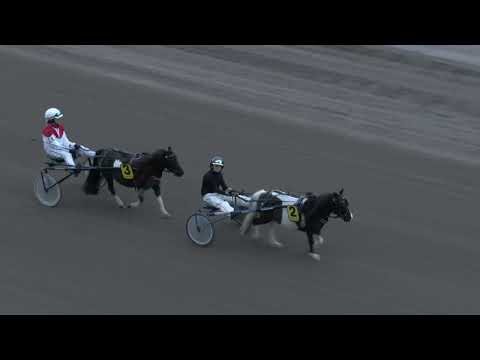 Kopia av Svenskt Ponnytrav Kriterium 2026-09-13