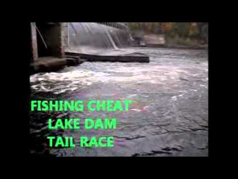 fishing trip to cheat lake dam - YouTube