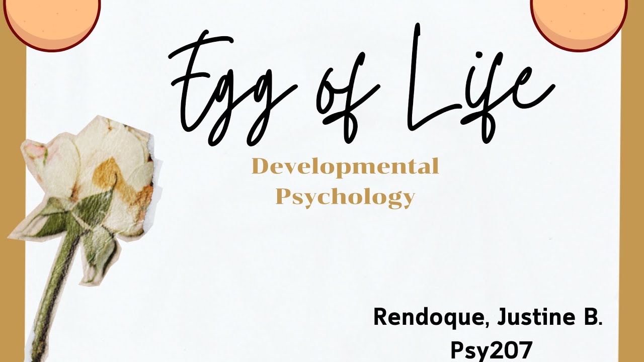 "Egg of Life" Development Psychology. - YouTube