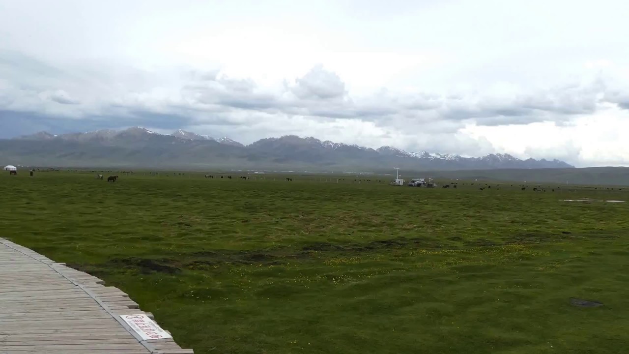 Songpan Grassland Lake 松潘草原花湖 2018 - YouTube