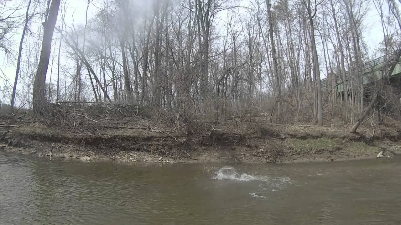 Chagrin River Steelhead Canoe Trip 4-19-15 - YouTube
