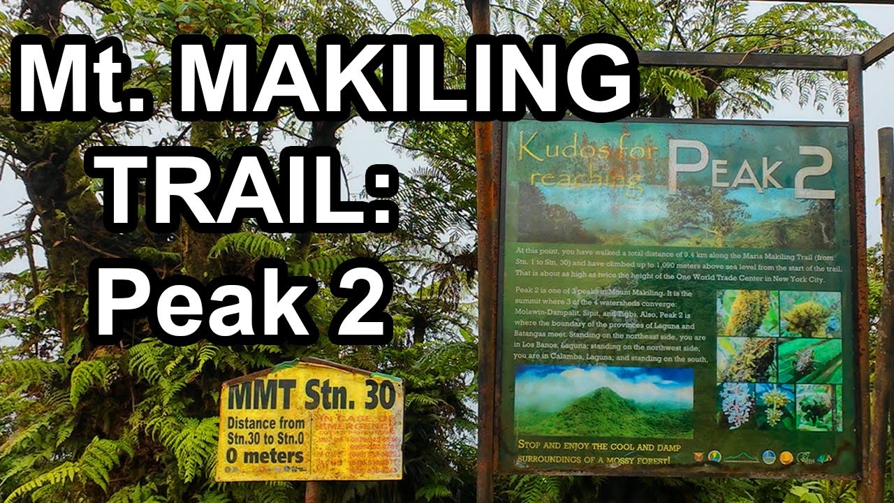 Hiking Timelapse 5 - Mt. Makiling Trail Station 11 to 30 (Peak 2 ...