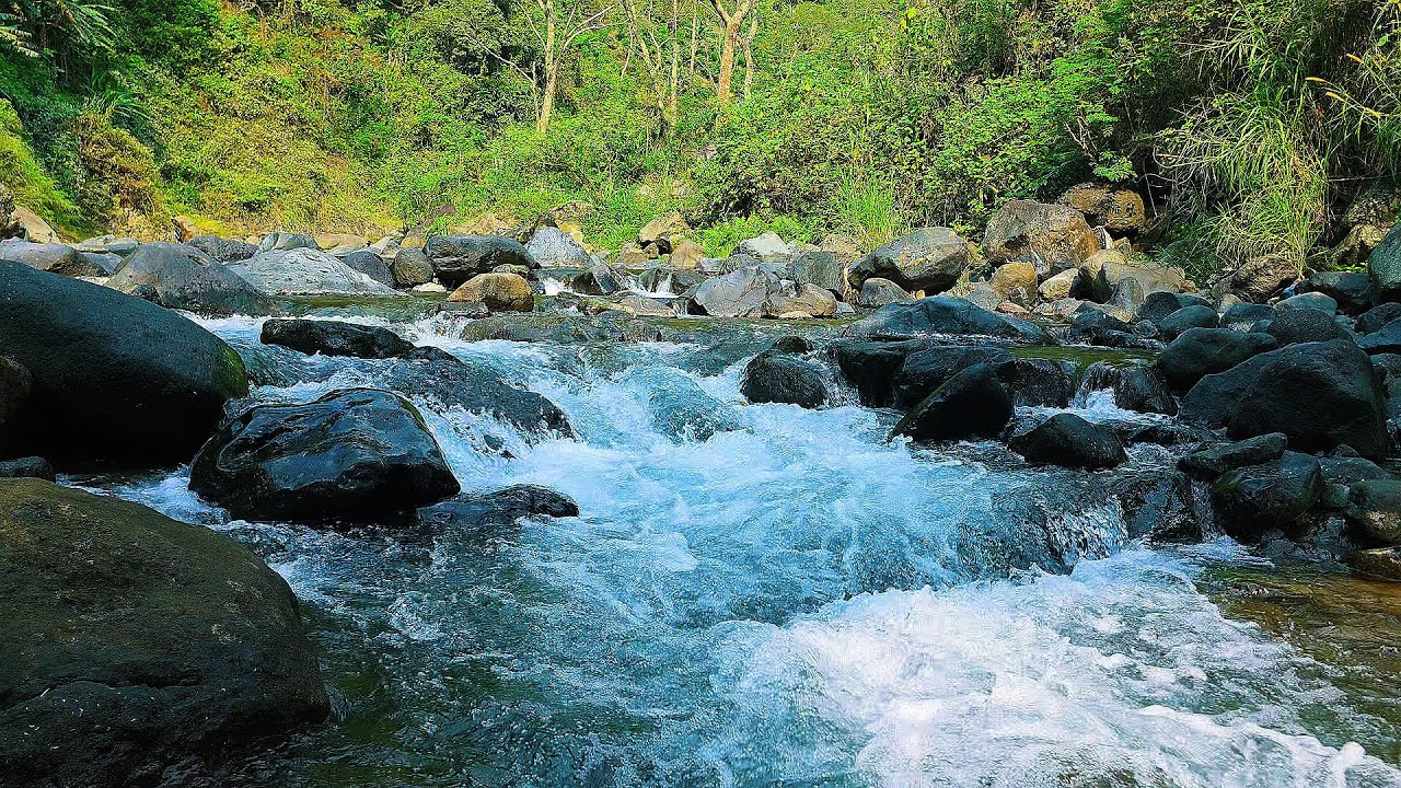 Healing River Ambience – Natural Water Sounds for Relaxation & Sleep 4K ...