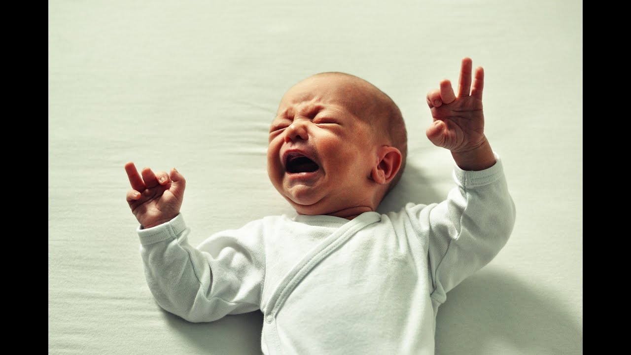 Baby crying sound dog training video - YouTube