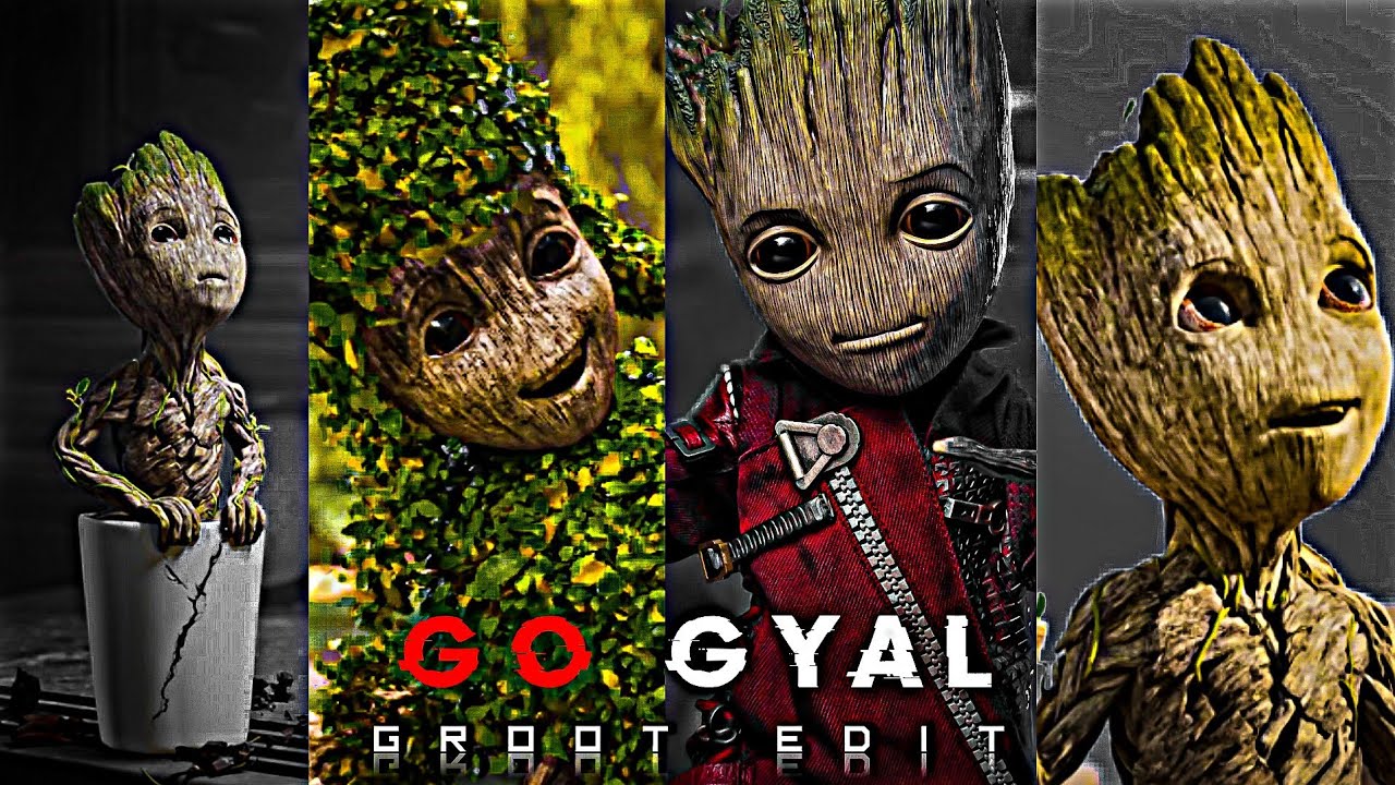 Go Goyl ft. Groot|go goyal X Groot|groot whatsapp status - YouTube