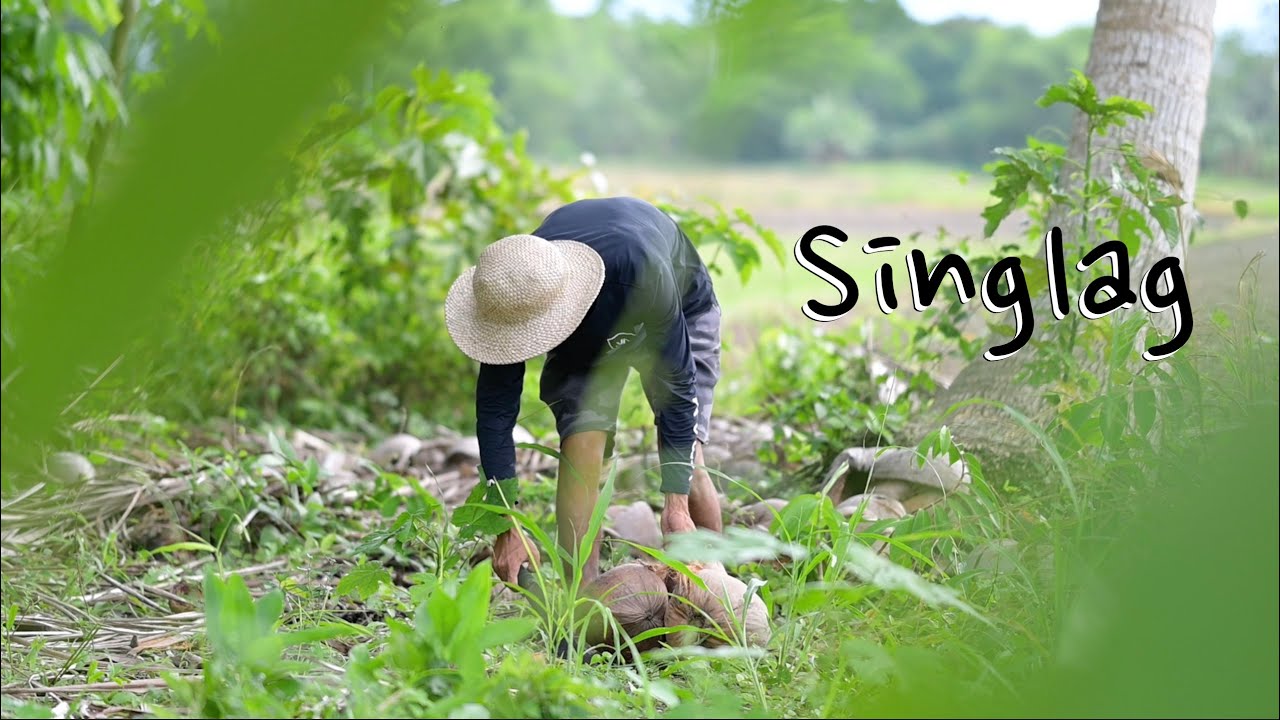 Pag Singlag at Paglilinis sa Farm - YouTube