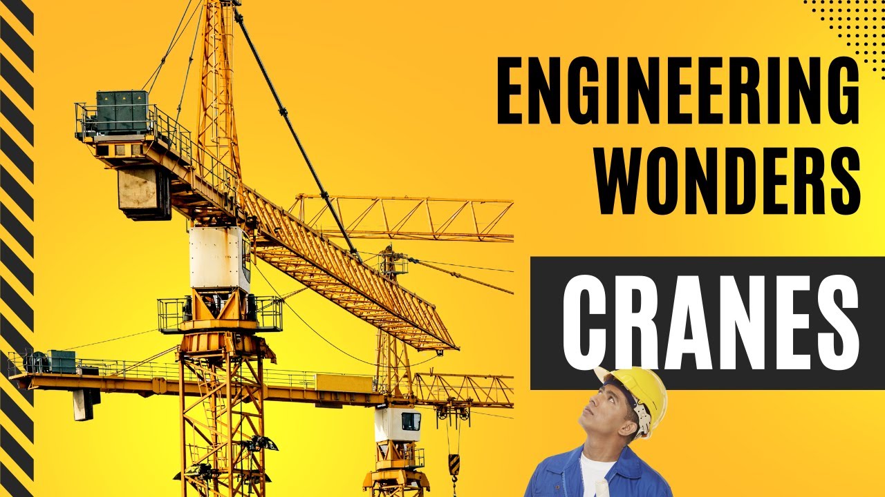 Crane Craze: Top 10 Fun Facts About Cranes! 🏗️ - YouTube