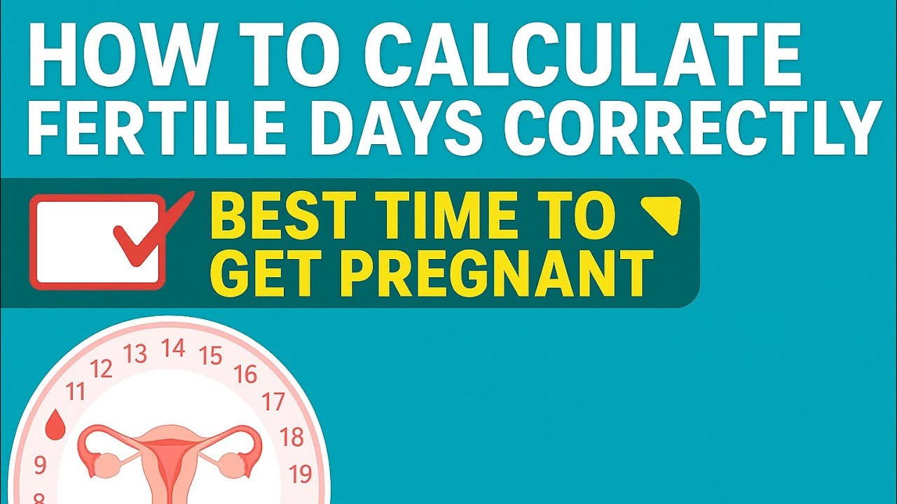 How to Calculate Fertile Days Correctly | Best Time to Get Pregnant ...